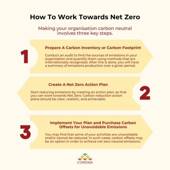 How To Create A Net Zero Action Plan & Become Carbon Neutral: A Guide ...