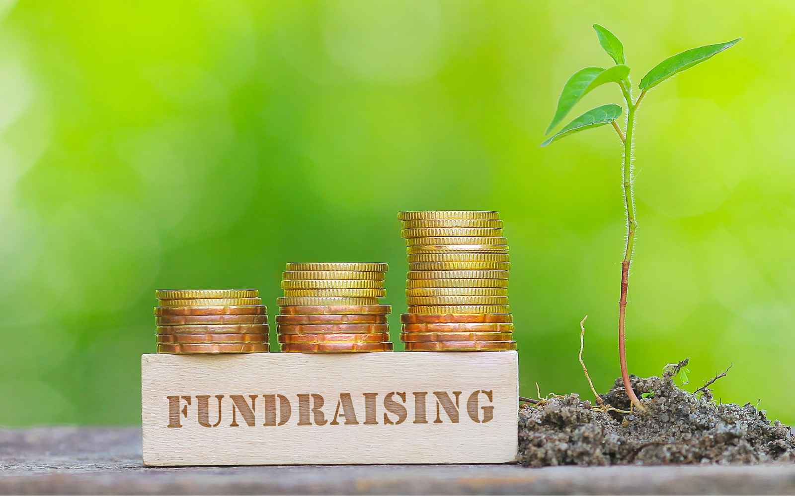 5 Ways To Fundraise For Climate Action & Renewable Energy Projects - CORENA - Citizens' Own ...