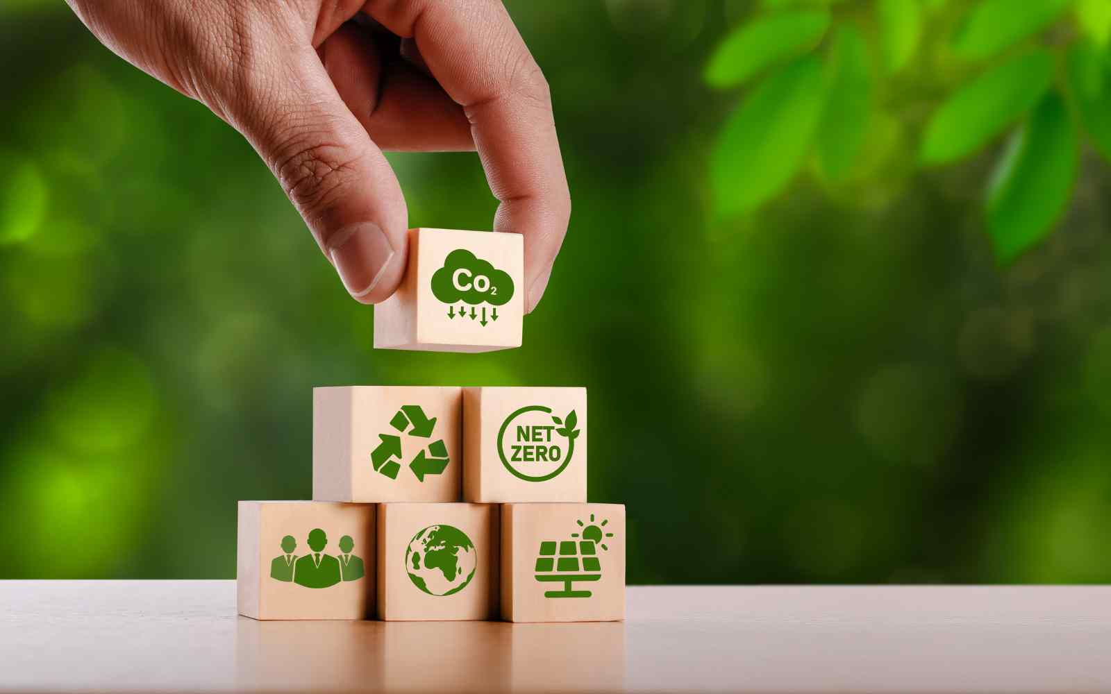 How to Communicate The Importance of Climate & Sustainability ...