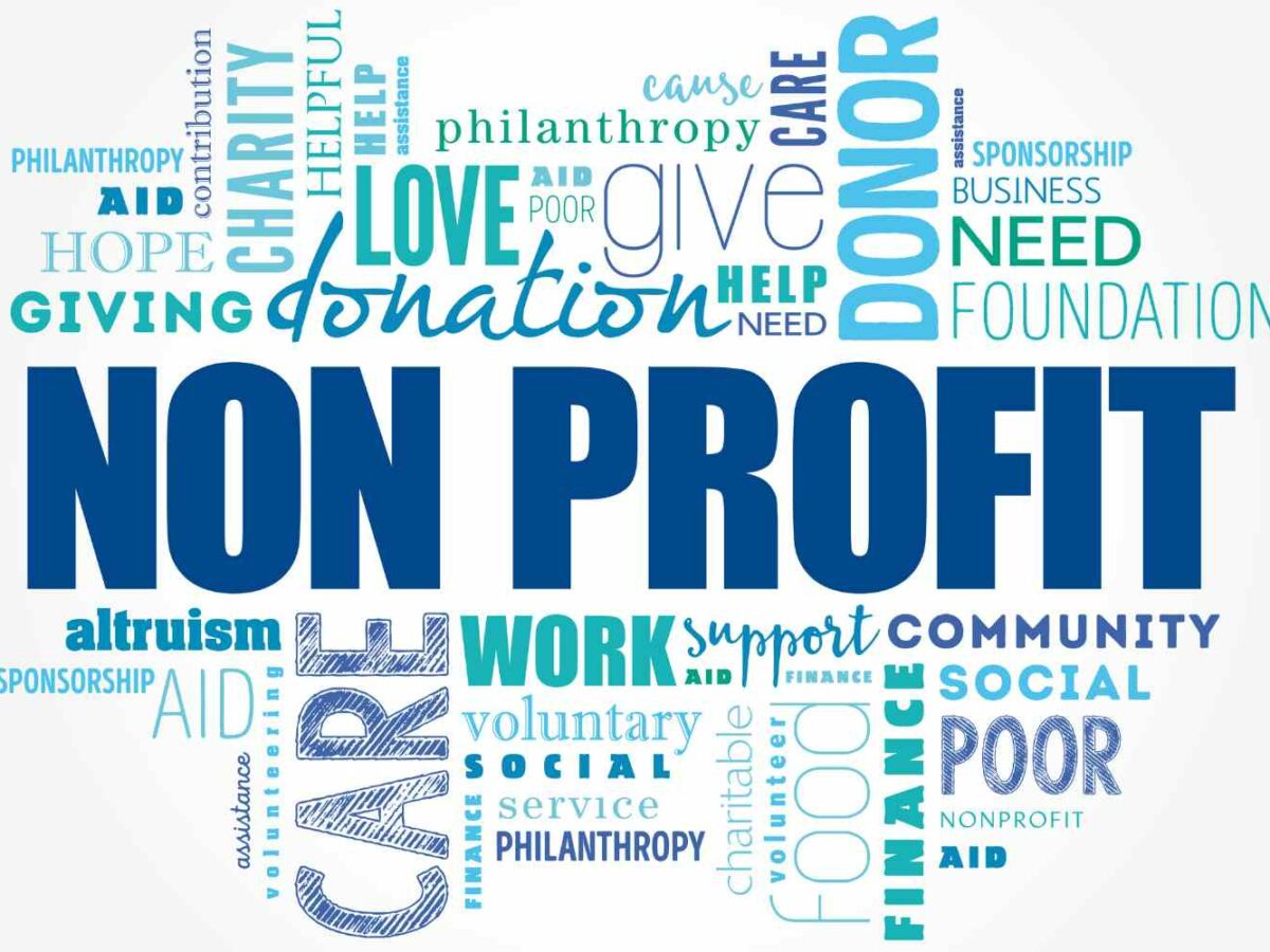 Not-For-Profits, Charities, Foundations & Social Enterprises: What Is ...