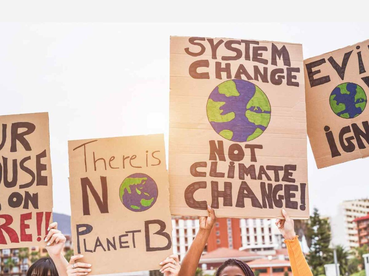 Climate Emergency Declaration: How You Can Take Action - CORENA ...