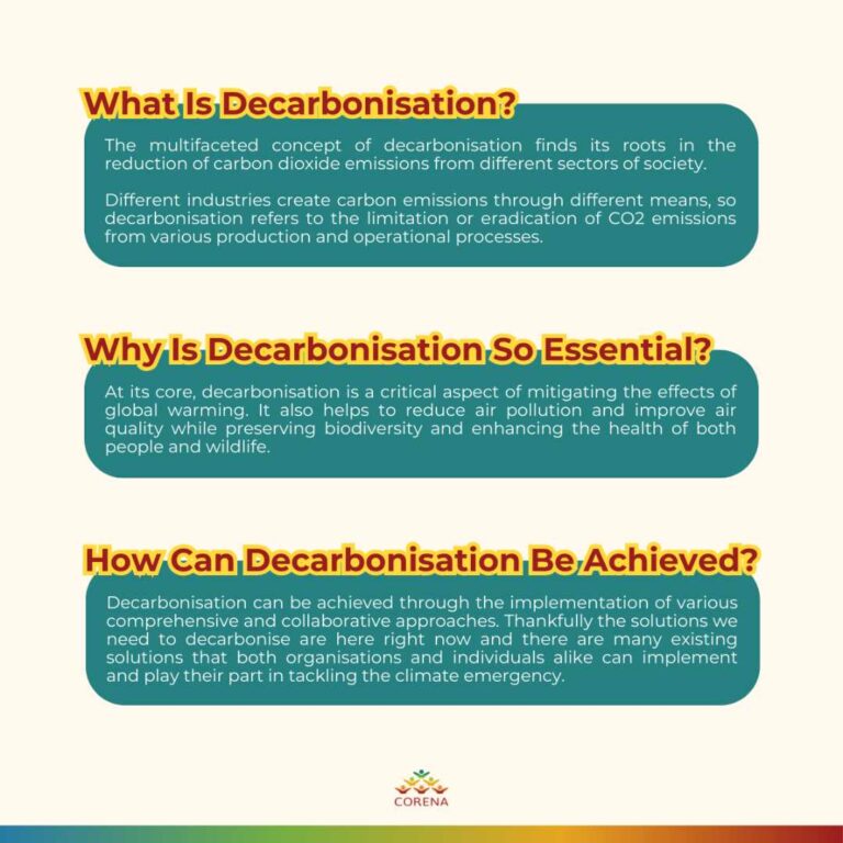 Decarbonisation: Definition, Why It Is Essential & What Non Profits Can ...