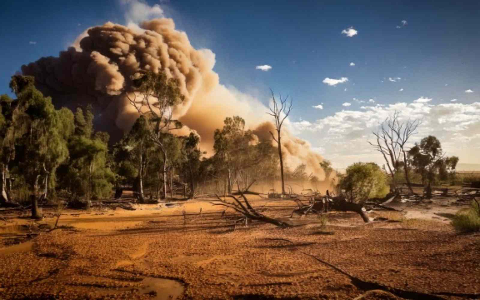 How Australians Can Improve Disaster Preparedness & Resilience - CORENA ...